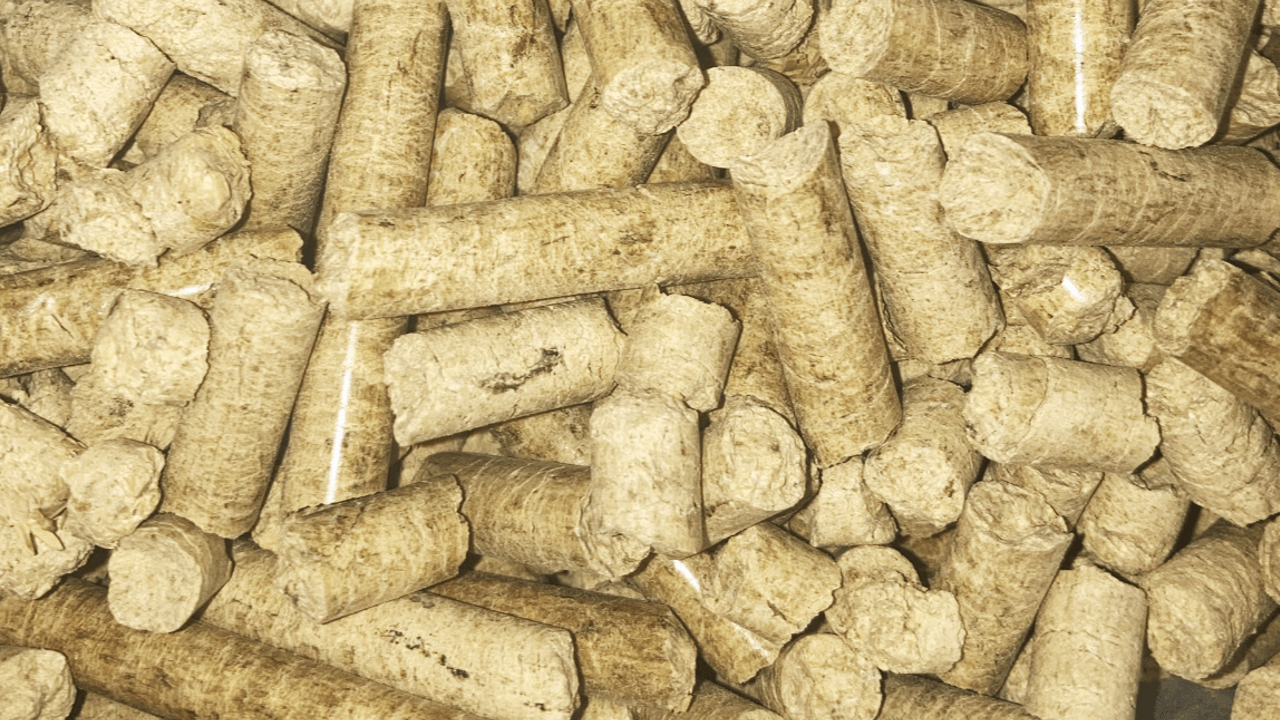 Safe handling and storage of biomass in thermal power stations | Energy ...